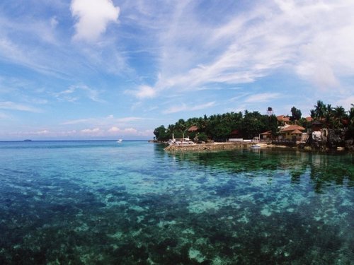 Turtle Bay Dive Resort, Cebu Hotels Resorts - My Cebu Guide